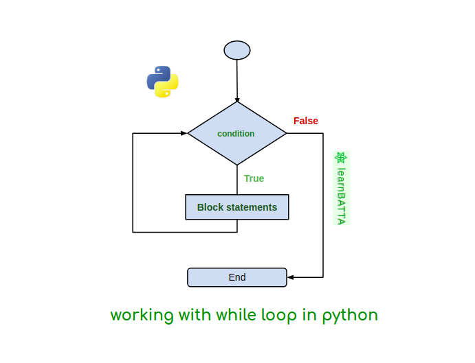  While Python